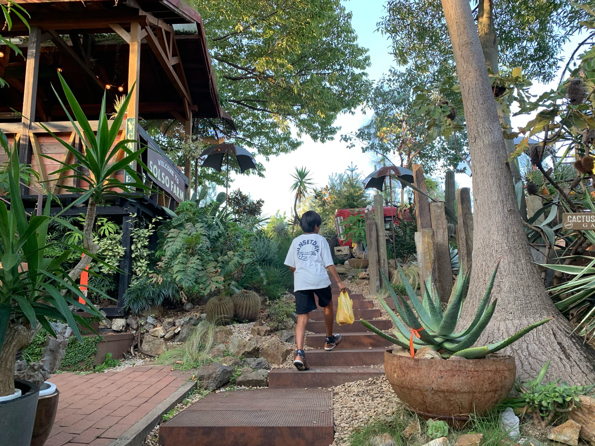 「SOLSO FARM」～週末限定の緑溢れるテーマパークへ！大人も子どもも楽しめるファームマーケット 川崎市 - ココフル